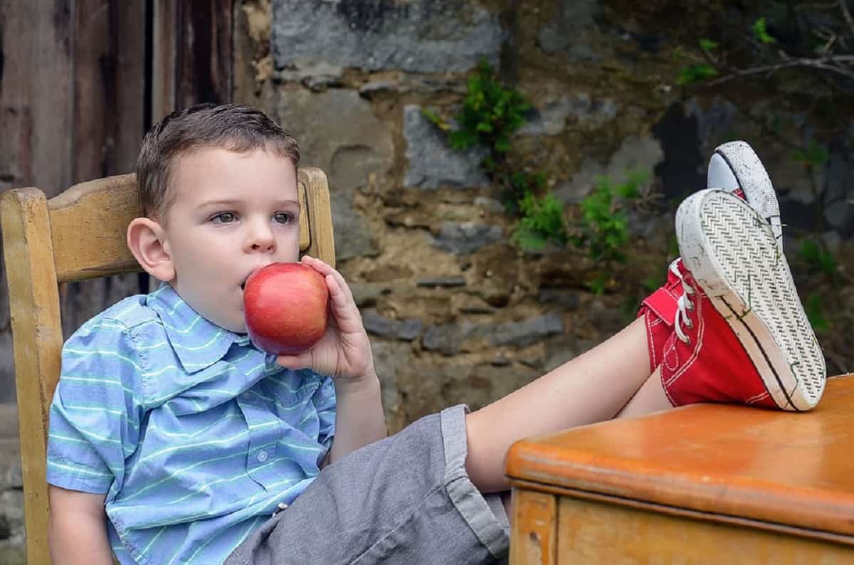 Neofobia alimentaria infantil: concepto y consejos para los padres ...